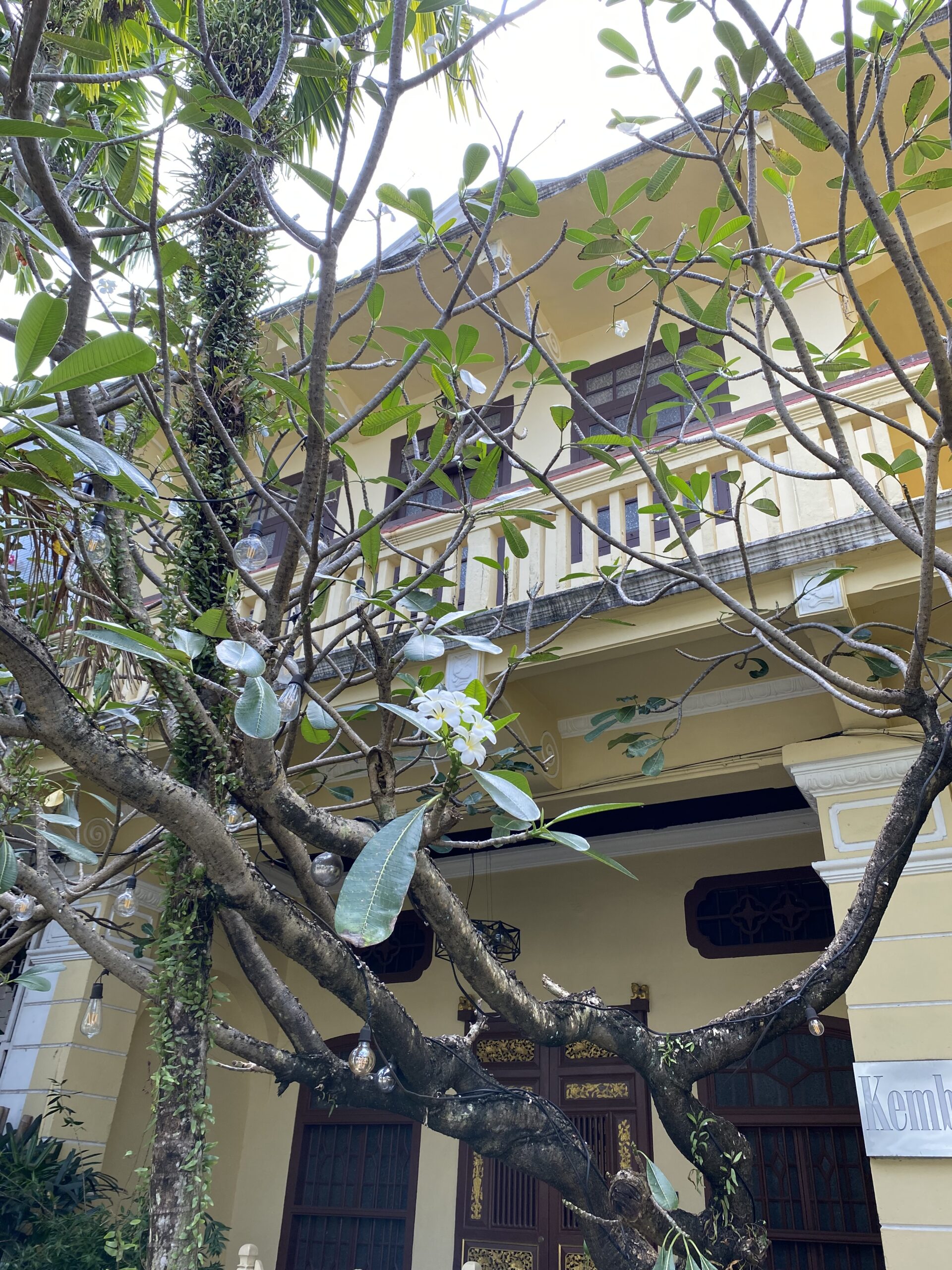 Home - Penang Scenery for Explorers & Penang Lovers